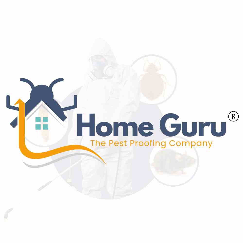 Differences Between Termites Vs Flying Ants Homeguru Pest Pro